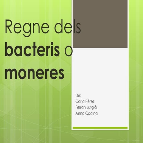 Esquema dels 5 regnes | DOCX