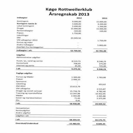 Regnskab | PDF
