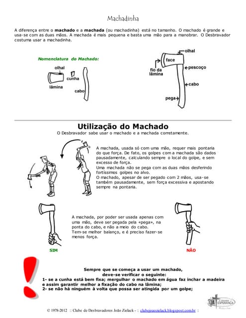 Guia de sadt cassi | PDF