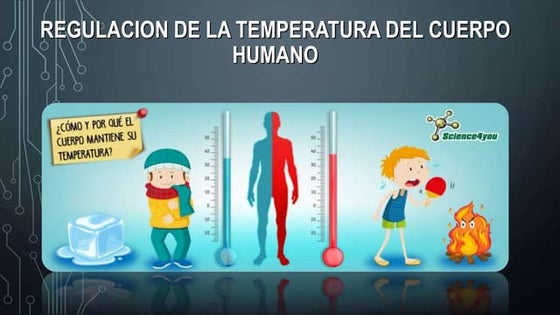 temperatura central y superficial fisiologia | PPTX