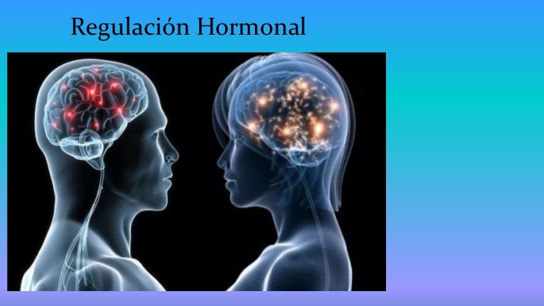 Regulacion hormonal biologia