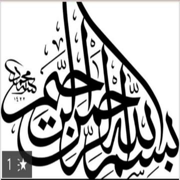 regular and irregular types of reflection twins.pptx