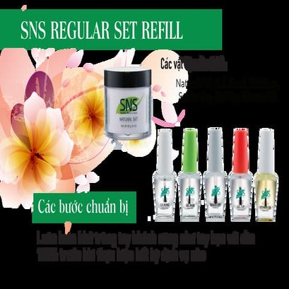 SNS Regular set refill (VN) | PDF