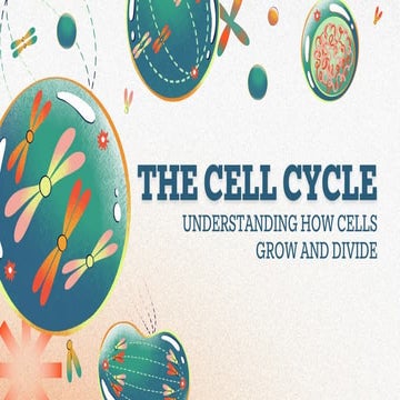 Regulating the cell cycle explained brieflyyyyy.pdf