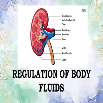 REGULATION-OF-BODY-FLUIDS.pptxhdhdhdhdhhd | PPTX