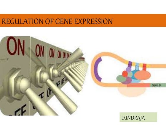 GENE EXPRESSION AND REGULATION.pptx