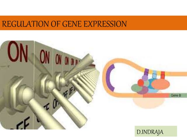 Regulation of Gene Expression in Prokaryotes | PPTX