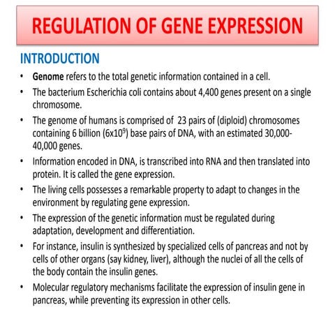 Regulation of gene expression b,pharm | PPTX