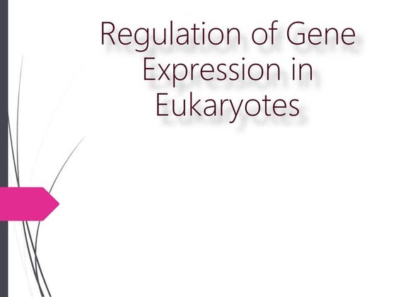 Genes | PPTX | Chemistry | Science