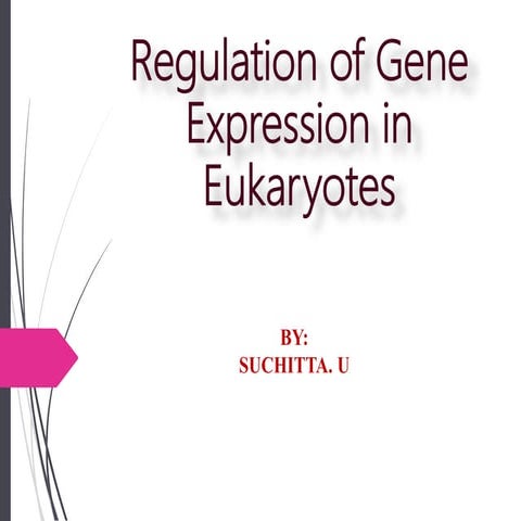 Regulation of gene expression in eukaryotes | PPTX