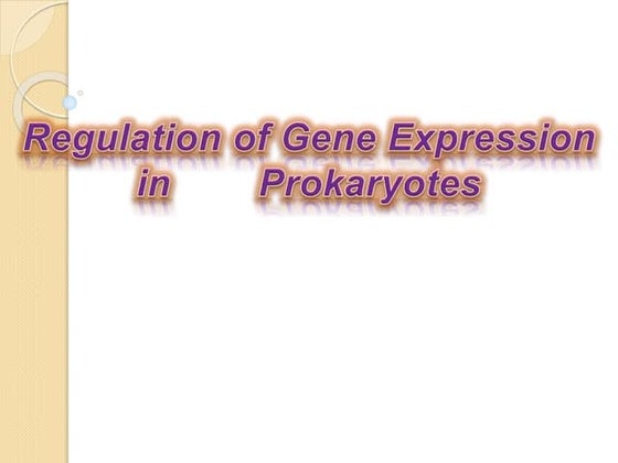 Light microscope | PPTX