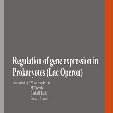 Regulation of gene expression in Prokaryotes (Lac Operon).pptx by ...