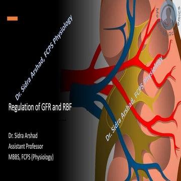 Renal Physiology - Regulation of GFR and RBF | PDF