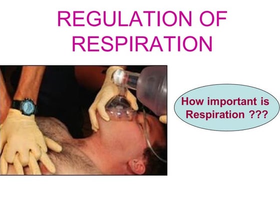 Regulation of respiration | PPTX | Lung and Respiratory Health ...