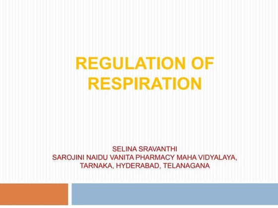 Pancreas - Secretion, Function and Regulation | PPTX | Endocrine and ...