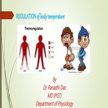 Regulation of temperature of Human body | PPTX