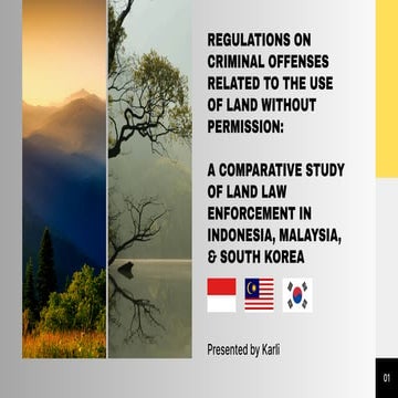 REGULATIONS ON CRIMINAL OFFENSES RELATED TO THE USE OF LAND WITHOUT ...