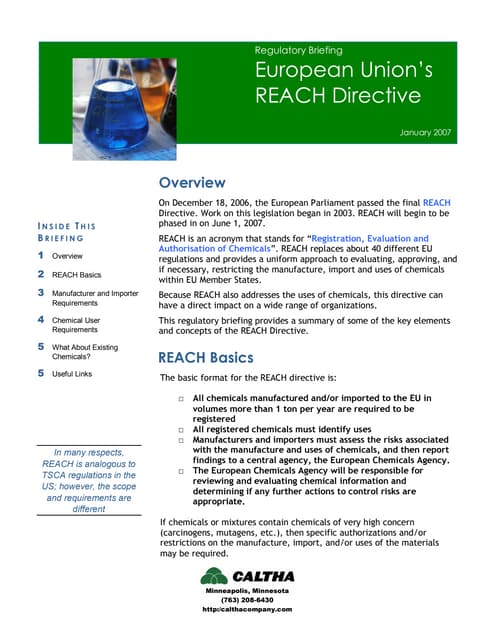 REACH | PPT | Chemistry | Science