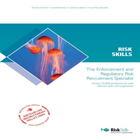 Regulatory risk brochure | PDF