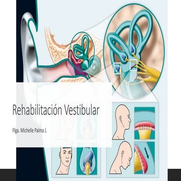 Rehabilitacion vestibular maniobras.pptx