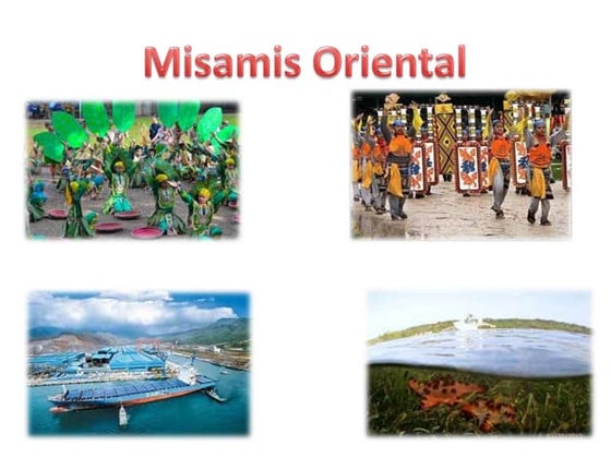 Rehiyon viii-silangang-bisaya | PPT