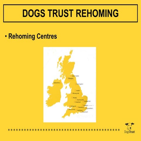 Rehoming | PPT