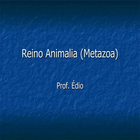 Reino Animalia (Metazoa) | PPT