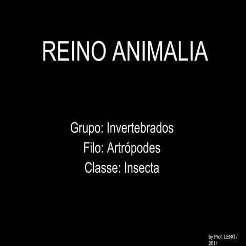 Reino animalia artrópodes,insetos ok | PPT