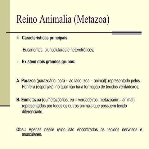 Reino animalia (metazoa) | PPT