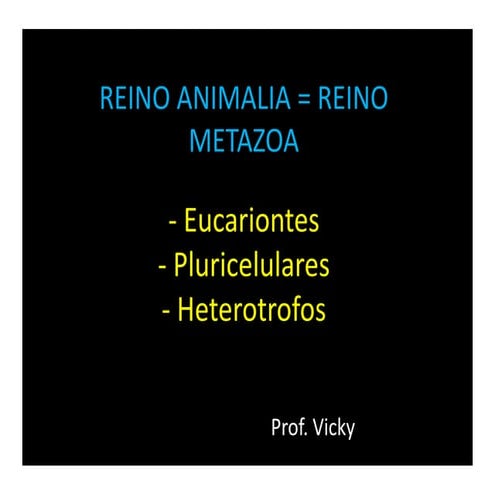 Reino metazoa | PDF