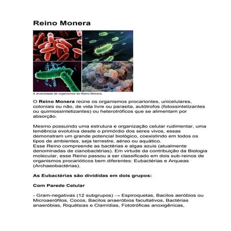 Reino monera | PDF