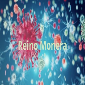 Reino monera | PPTX