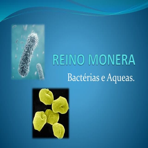 Reino monera: Bactérias e Arqueas | PPTX