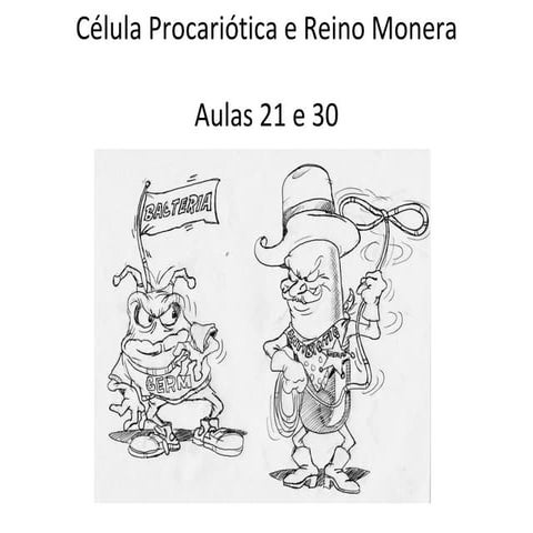 Reino monera | PPTX