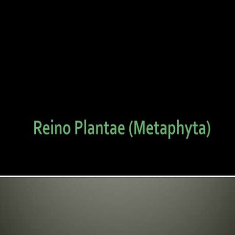 Reino plantae (metaphyta) | PPTX