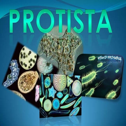 Reino protista | PPTX