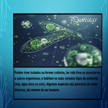 Reino monera, protista | PPTX
