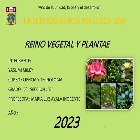 REINO VEGUETAL Y PLANTAE .pptx