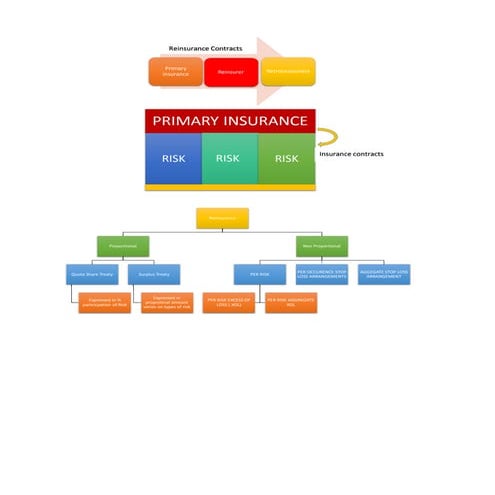 Reinsurance - Infographic | PDF | Insurance | Personal Finance