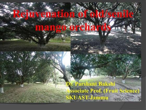 High density planting (HDP) | PPT