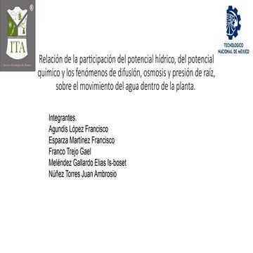 apoplasto y simplasto Absorcion del agua por las plantas | PDF