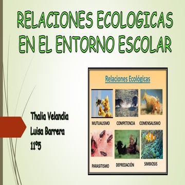 Relaciones ecologicas en el entorno escolar | PPTX