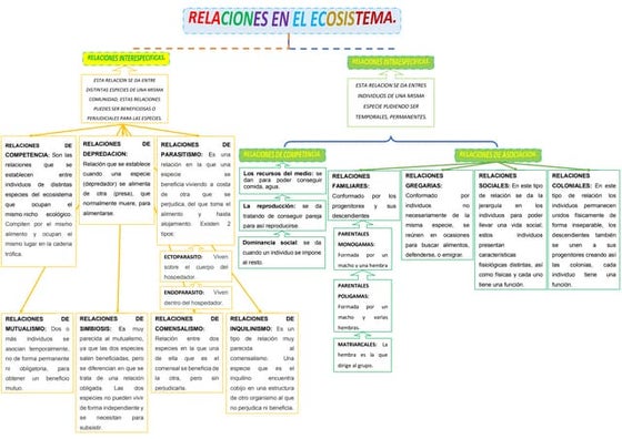 Relaciones entre los seres vivos | PPTX
