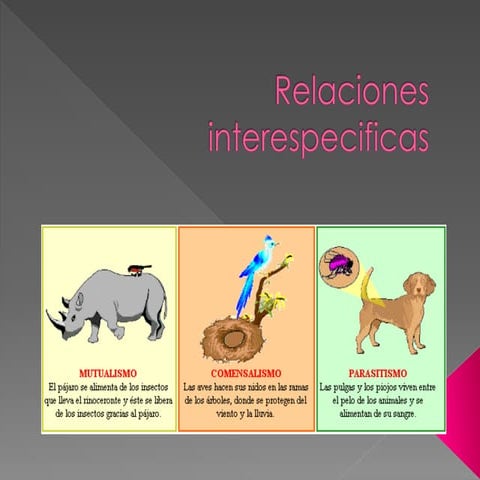 Relaciones interespecificas | PPTX