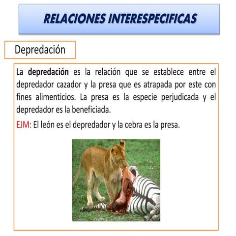 Relaciones interespecificas1 | PPTX