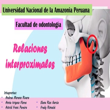 15. conceptos de oclusion esquemas oclusales | PDF