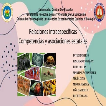 Relaciones Intraespecíficas, Competencia | PDF