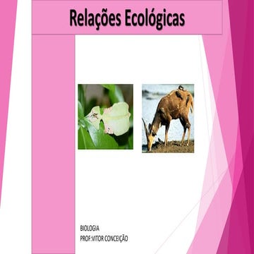 Aula relações ecológicas | PPT