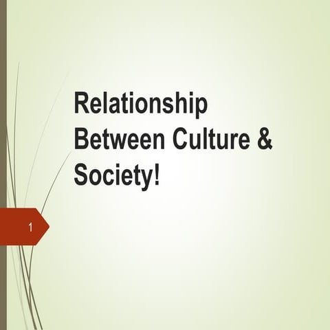 Relationship between culture and society | PPTX