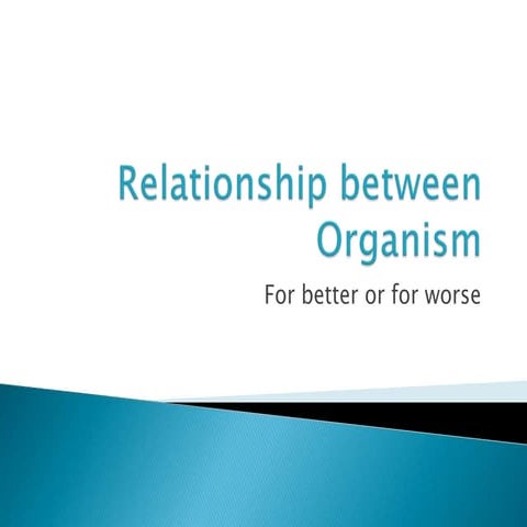 Relationship Between Organism | PPTX